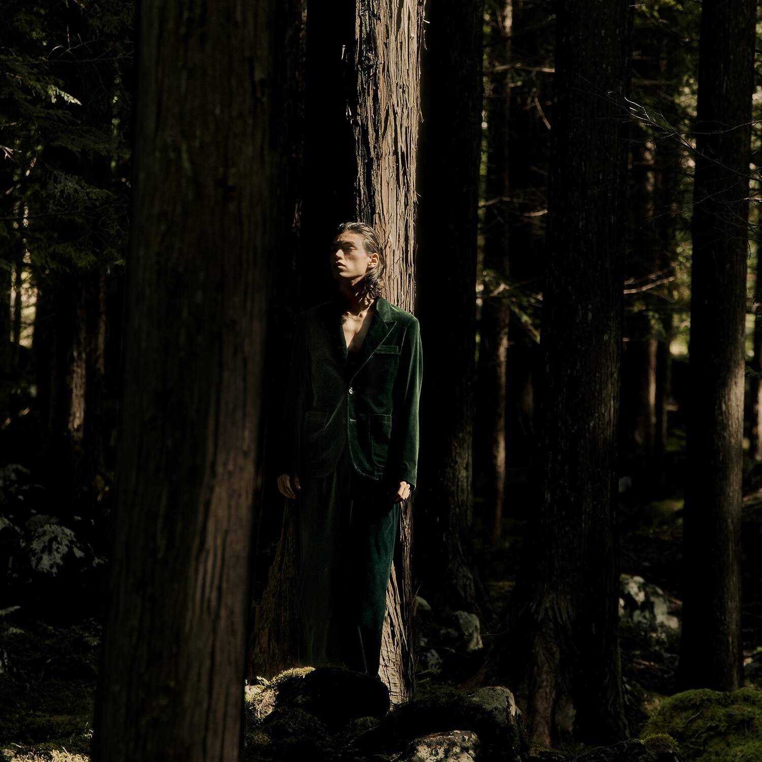 JO MALONE LONDON Hinoki & Cedarwood Cologne Intense 100ml | SEPHORA UK